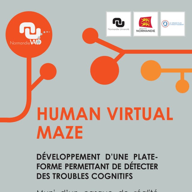 Human Virtual Maze | PDF