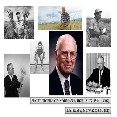 Norman N. borlaug - short Profile | PPTX