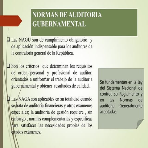 NORMAS_DE_AUDITORIA_GUBERNAMENTAL.pptx