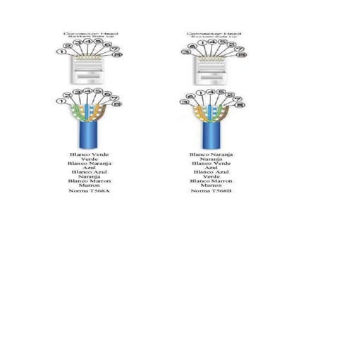 Norma t568 a | PDF