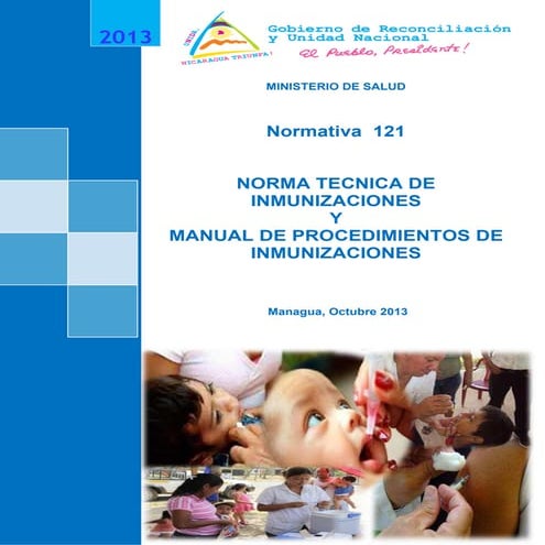 NORMA TECNICA N°196 DE ESTRATEGIA NACIONAL DE INMUNIZACIONES MINSA | PDF