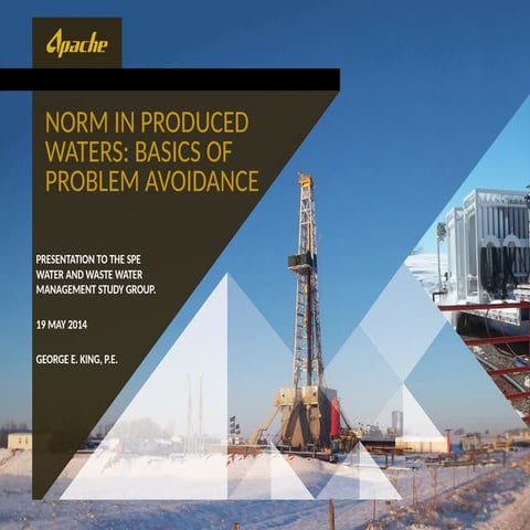 NORM_Slides_SPE_19_May_2014_Pres norms .pptx