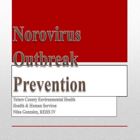 Norovirus outbreak prevention | PPTX