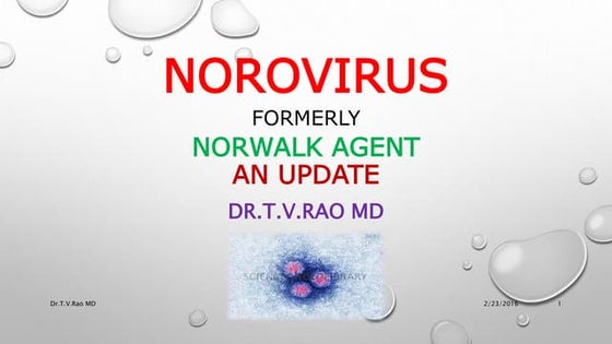 Norovirus | PPT