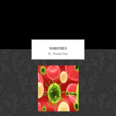 Norovirus powerpoint | PPTX
