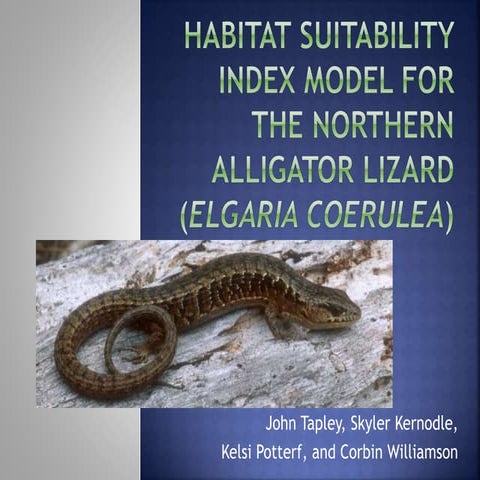 Northern Alligator Lizard HSI Model | PPT