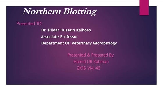 Northern blotting | PPTX | Chemistry | Science