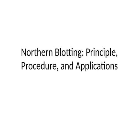 Lecture on Northern Blotting Technique.pptx