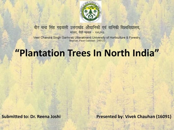 Contour maps: preparation and understanding. | PPTX