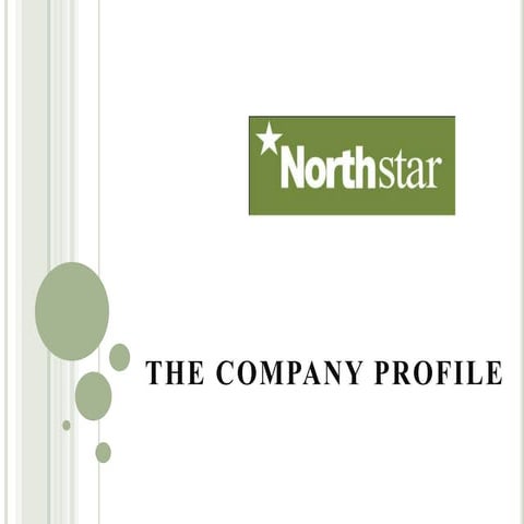 Northstar Trio Marketing | PDF