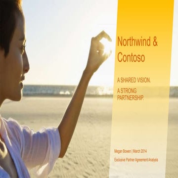 Northwind presentation for COntoso about sales | PPT