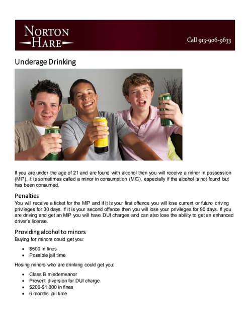 Criminal Consequences of Underage Drinking | PPT