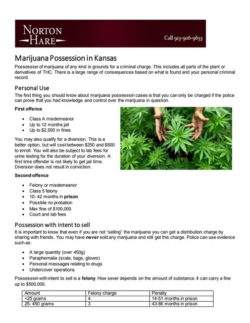 Possessing Drug Paraphernalia in Nevada | PPT