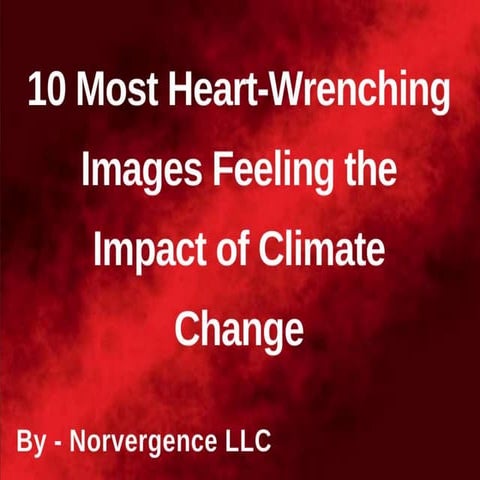 Norvergence - 10 most heart-wrenching images feeling the impact of ...