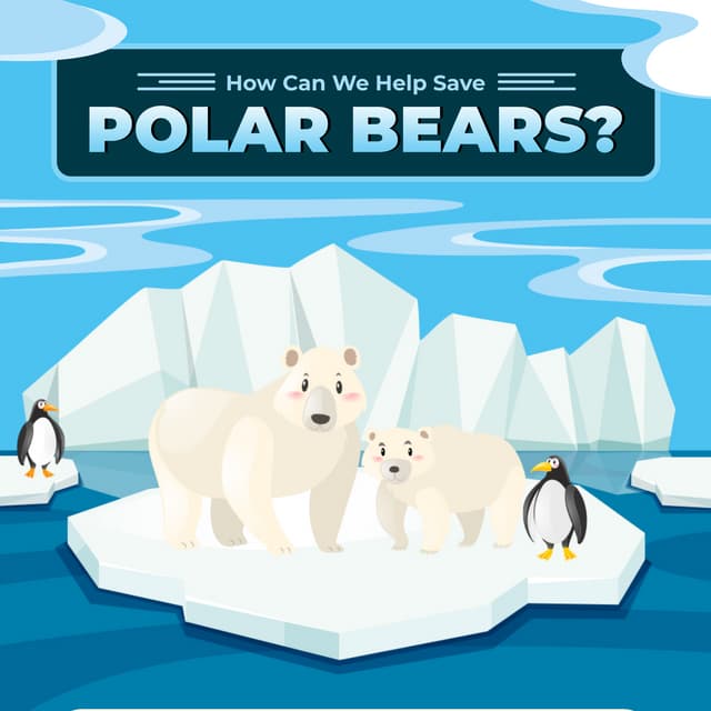 Norvergence: How can we help save polar bears? | PDF