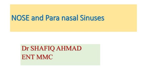 VASCULAR ANATOMY OF THE NOSE.pdf | Ear, Nose and Throat Conditions | Diseases and Conditions