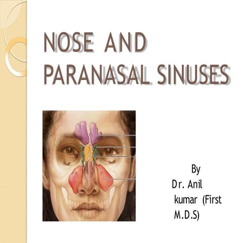 ANATOMY OF NOSE | PDF
