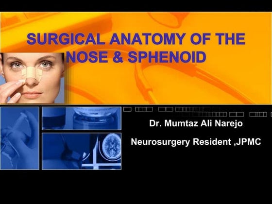 ANATOMY OF VOMER BONE | DOCX | Ear, Nose and Throat Conditions ...