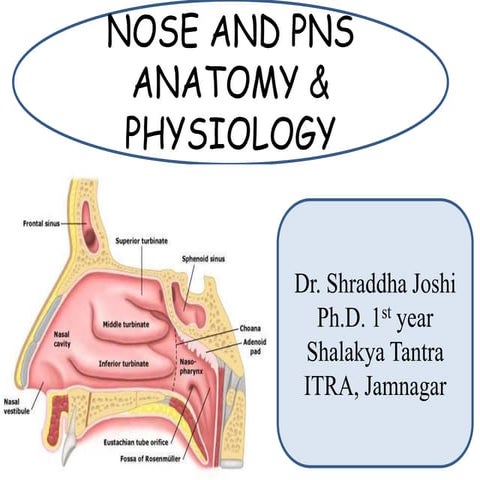 Ent For Medical Students Nose Anatomy Physiology