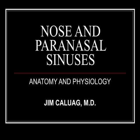 Anatomy Of Paranasal Sinuses | PPT