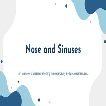 Nose and Sinuses ( nasal anatomy, structure of the nose and paranasal ...