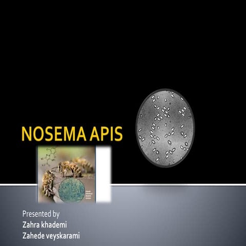 Nosema apis | PPTX