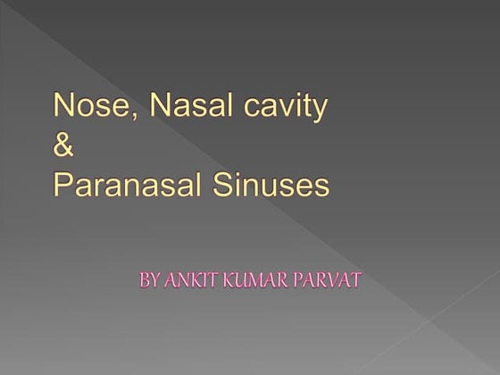 3 Nose Nasal Cavity And Paranasal Air Sinusespdf