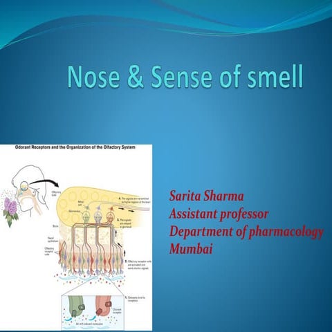 Sense of smell(nose.ppt grade 3) | PPT