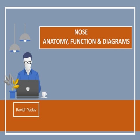 Nose anatomy, function and diagrams | PPTX