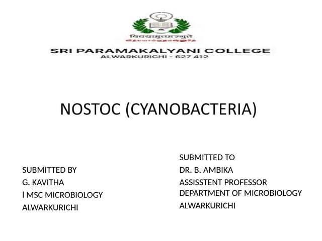 Nostoc | PPTX