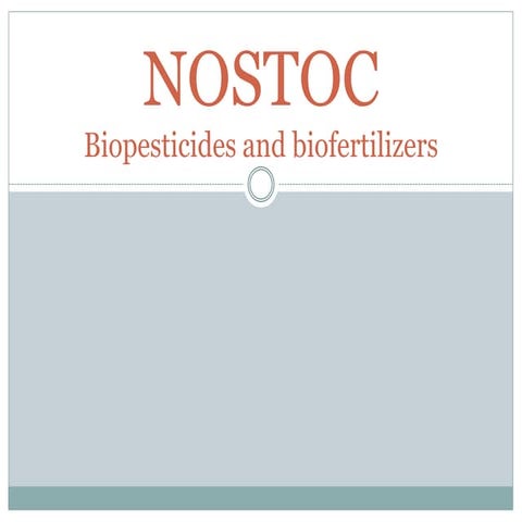 NOSTOC -Power Point Presentation. introduction and other detail | PPTX