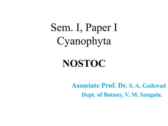 Nostoc | PPTX