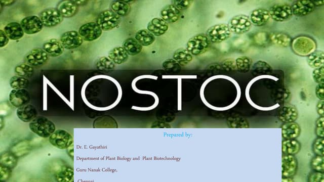 Nostoc | PPTX