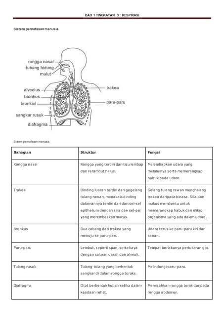 Express Notes Science Form 3 | PPT