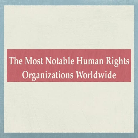 Notable International Human Rights Organizations | PDF