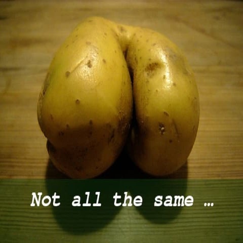 Not All The Same | PDF