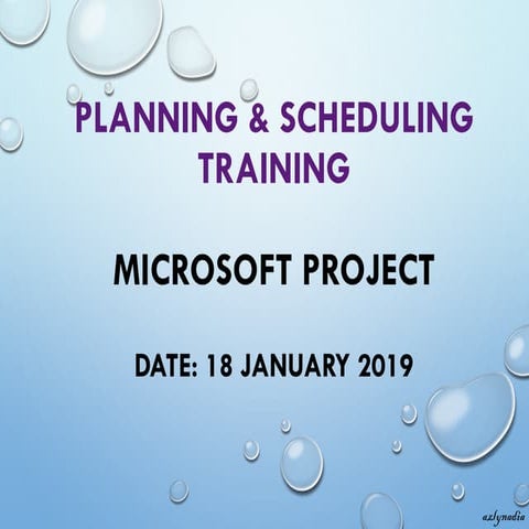 NOTA MS PROJECT1 (for beginner & reference) | PDF
