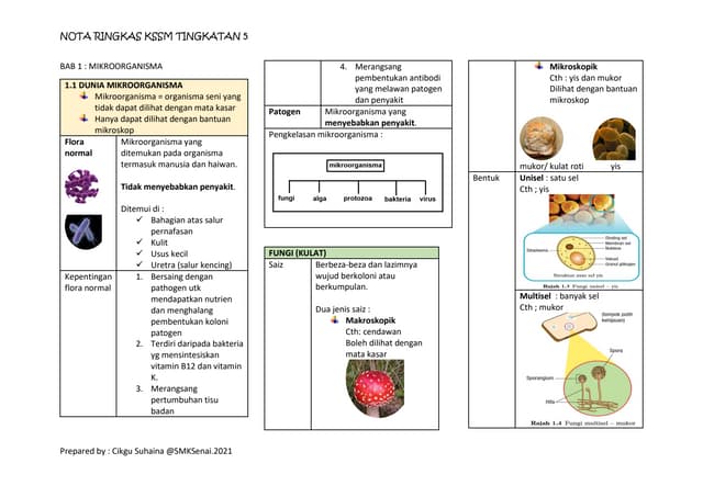 T5 BAB 8.1 PRINSIP BERNOULLI SKUEFGWBFIU | PPTX