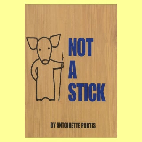 Not a Stick | PPT