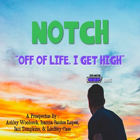 Notch Music Video Treatment | PPT