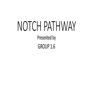 Notch Pathway - correcteduuuuuuuuui.pptx