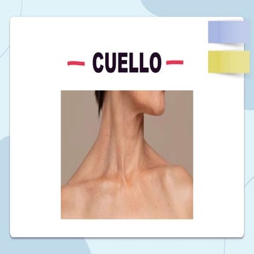 Examen físico, signos clínicos del cuello | PPTX