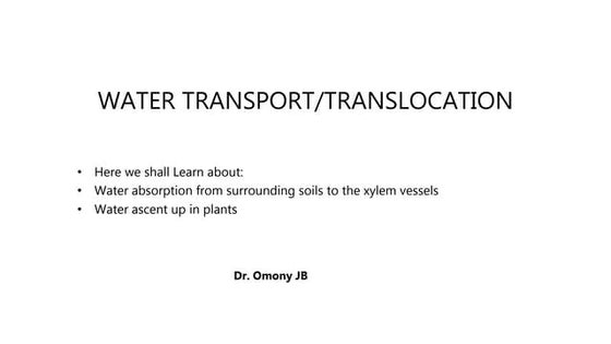Absorption of water ppt | PPT | Gardening | Home & Garden
