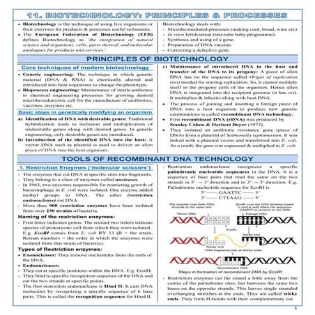 Biology project genetic Disorders class 12 science | PDF