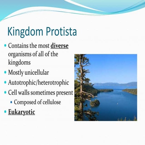notes-protistfungi2012.ppt