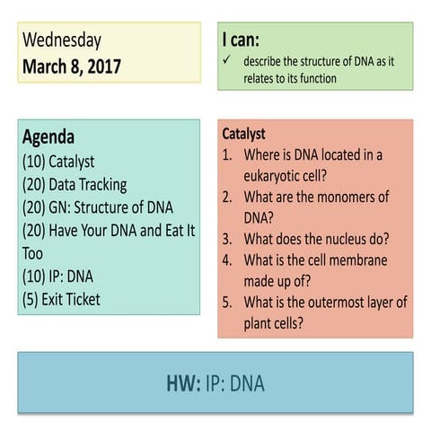NOTES - Structure of DNA.pptx