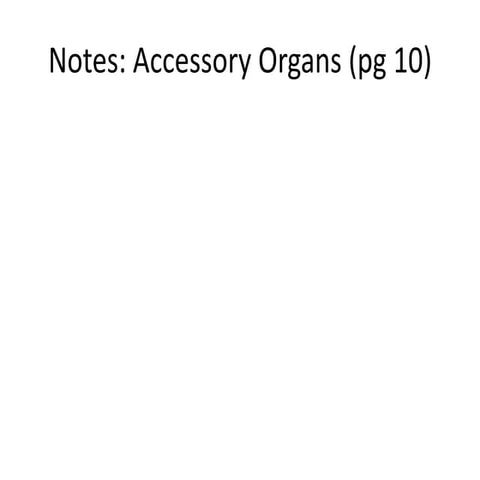 Notes accessory organs digestive system | PPTX