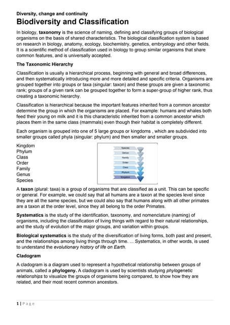 APG system of classification.pptx