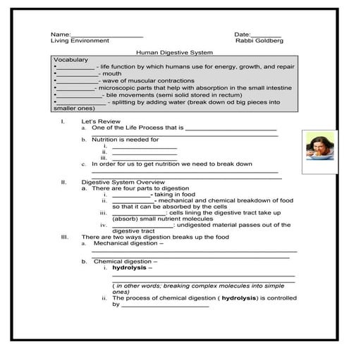 Notes digestive system | DOC