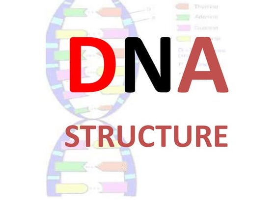 DNA structure, Functions and properties | PPT | Biological Sciences | Science